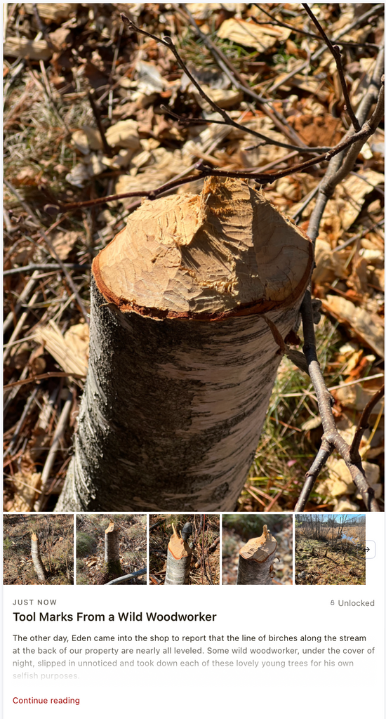 Tool Marks From a Wild Woodworker – Mortise & Tenon Magazine